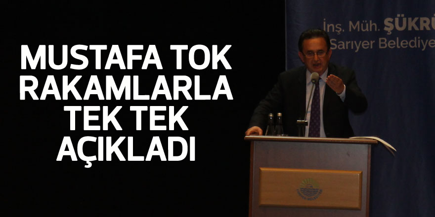 Mustafa Tok rakamlarla tek tek açıkladı